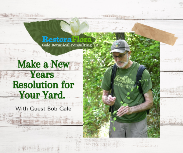 Make a New Year's Resolution for Your Yard! - Carolina Native Nursery